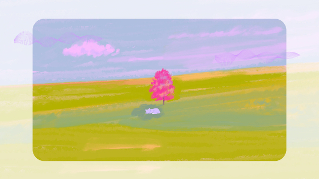 「もっと頑張らなきゃ」を手放したら、力が戻ってくるよ｜星と心のセラピスト Asami｜coconalaブログ